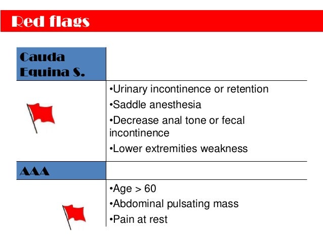 approach a patient with low back pain