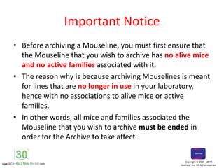 SoftMouseDB: How to Archive a Mouseline | PPTX
