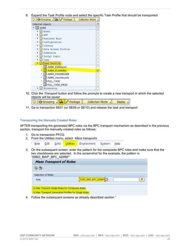 How to assign sap business planning and consolidation authorizations via the sap governance ...