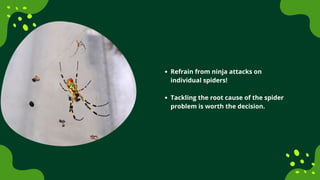 How To Avoid Spiders And Overcome Fears? | PPT