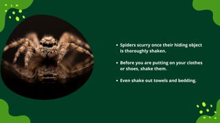 How To Avoid Spiders And Overcome Fears? | PPT