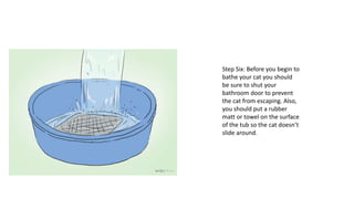 How to bathe a cat | PPTX