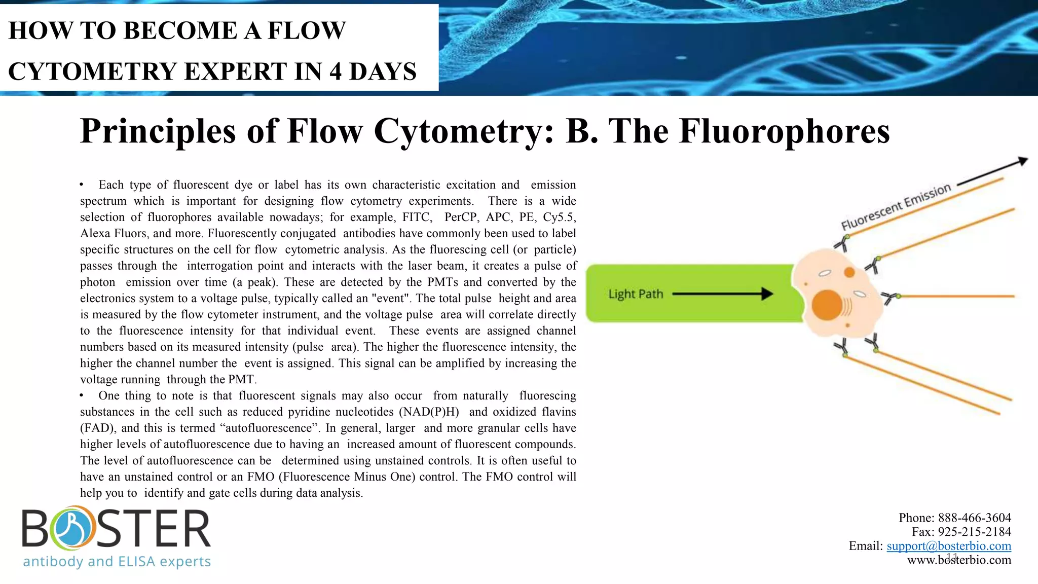 How to become a flow cytometry expert in 4 days | PDF