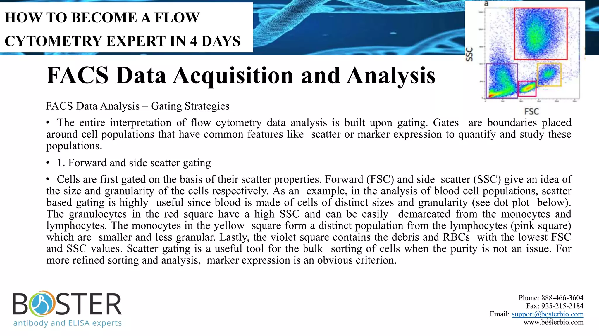 How to become a flow cytometry expert in 4 days | PDF