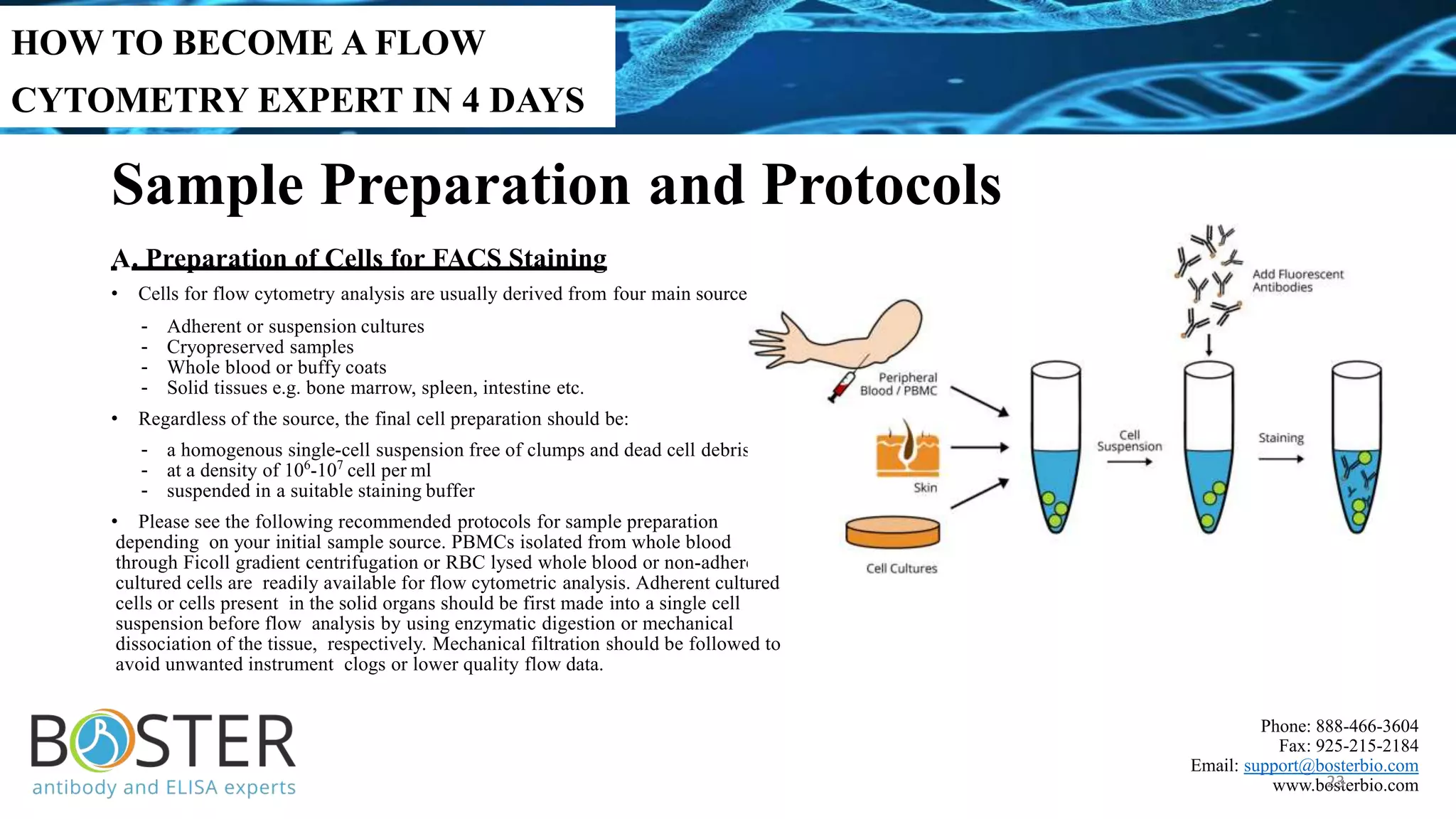 How to become a flow cytometry expert in 4 days | PDF