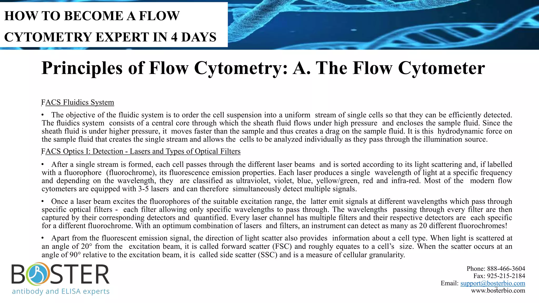 How to become a flow cytometry expert in 4 days | PDF
