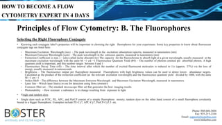How to become a flow cytometry expert in 4 days | PDF