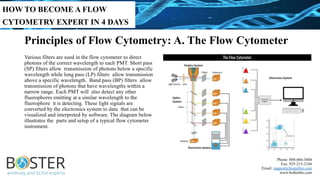 How to become a flow cytometry expert in 4 days | PDF
