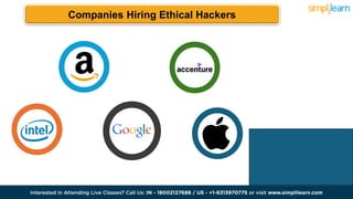 How To Become An Ethical Hacker in 2024 | Ethical Hacking Roadmap 2024 ...