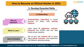 How To Become An Ethical Hacker in 2024 | Ethical Hacking Roadmap 2024 ...