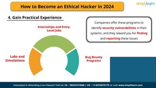 How To Become An Ethical Hacker in 2024 | Ethical Hacking Roadmap 2024 ...