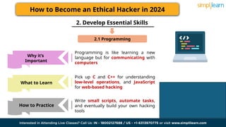 How To Become An Ethical Hacker in 2024 | Ethical Hacking Roadmap 2024 ...