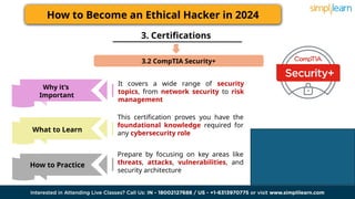 How To Become An Ethical Hacker in 2024 | Ethical Hacking Roadmap 2024 ...