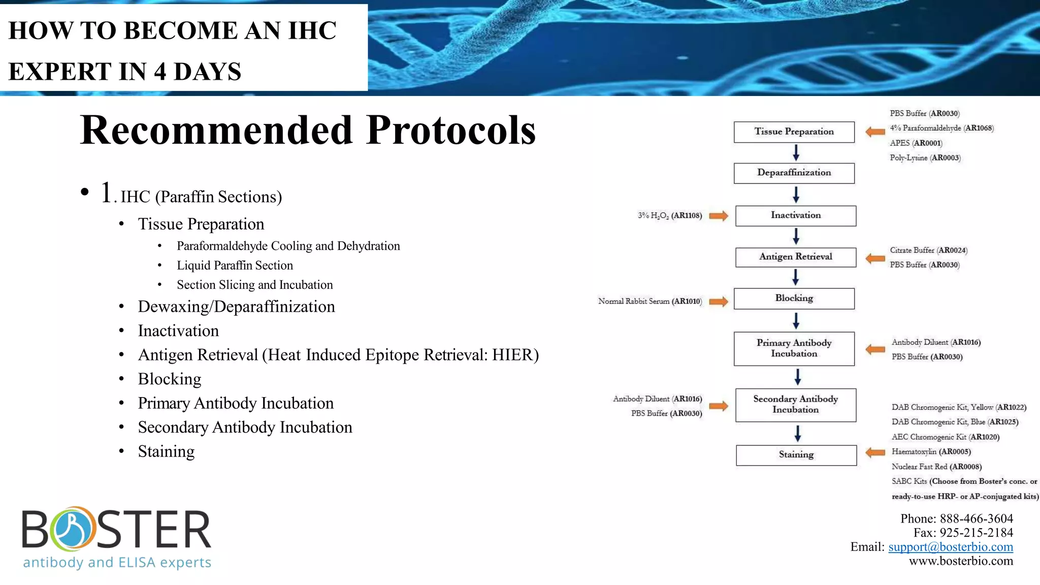 How to become an IHC expert in 4 days | PDF