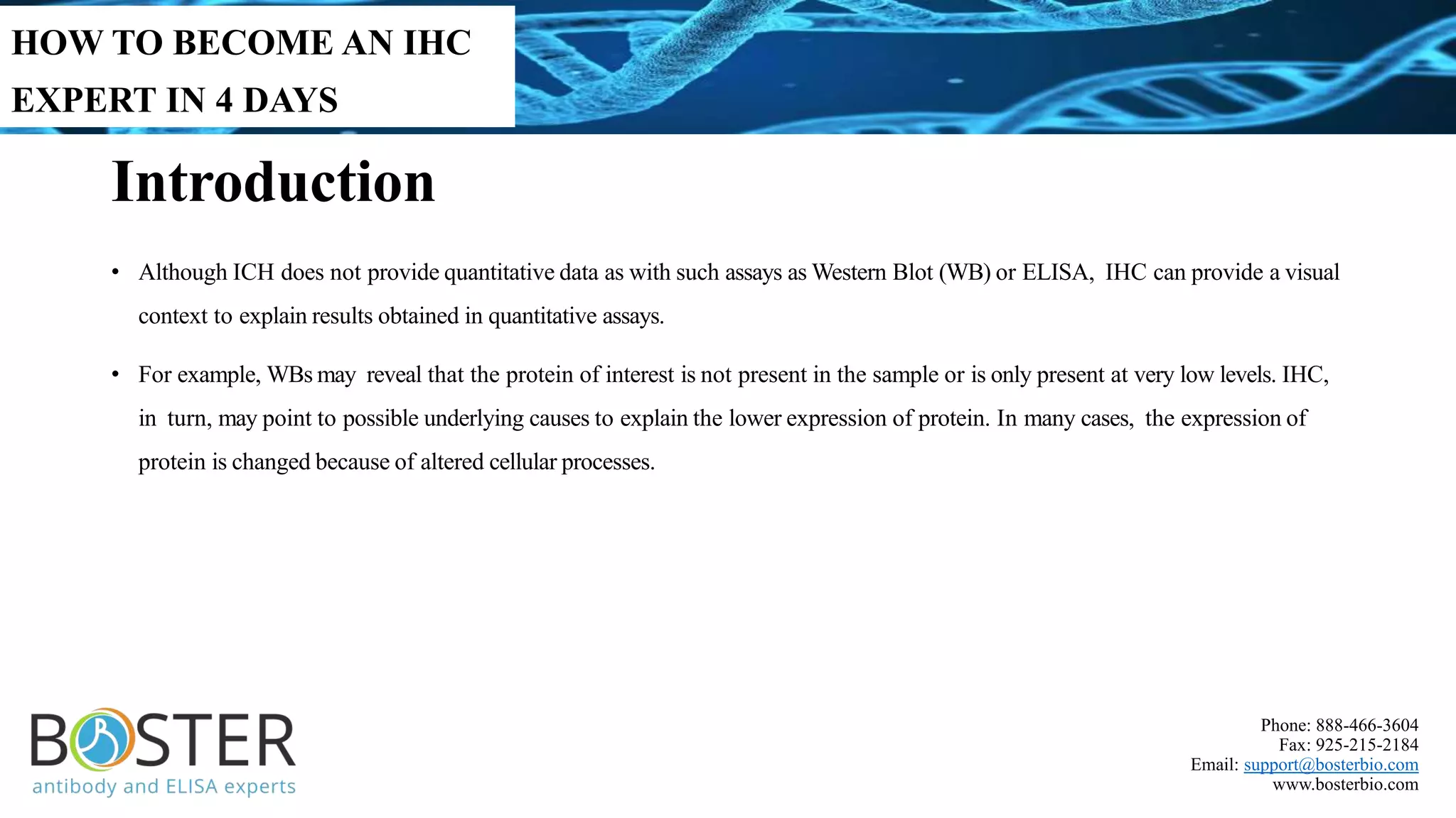 How to become an IHC expert in 4 days | PDF