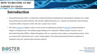 How to become an IHC expert in 4 days | PDF