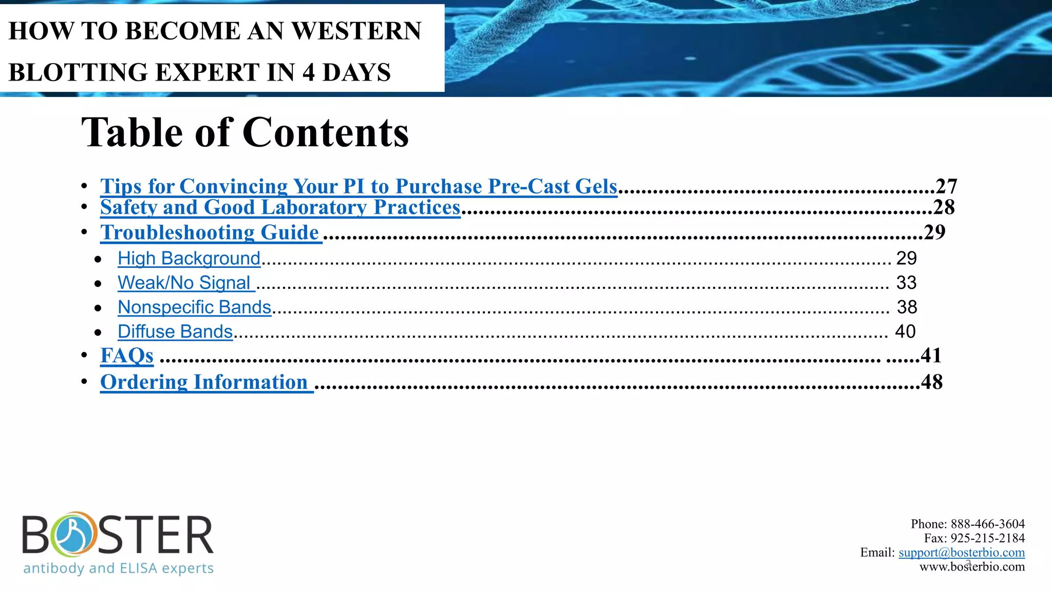 How to become a western blotting expert in 4 days | PDF