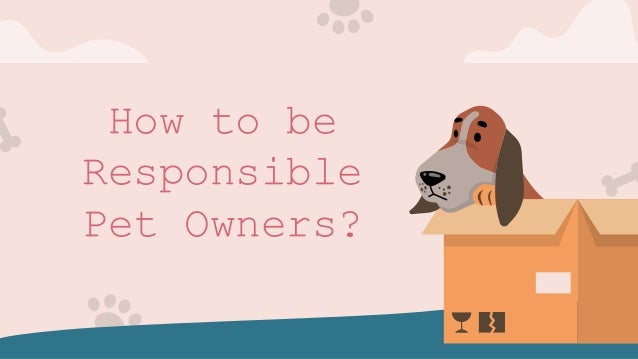 How to be Responsible Pet Owners.pptx