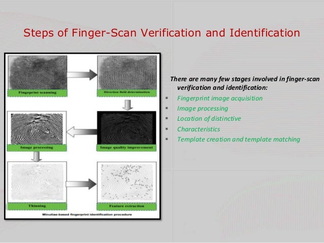 How to biometric fingerprint reader’s scanners work
