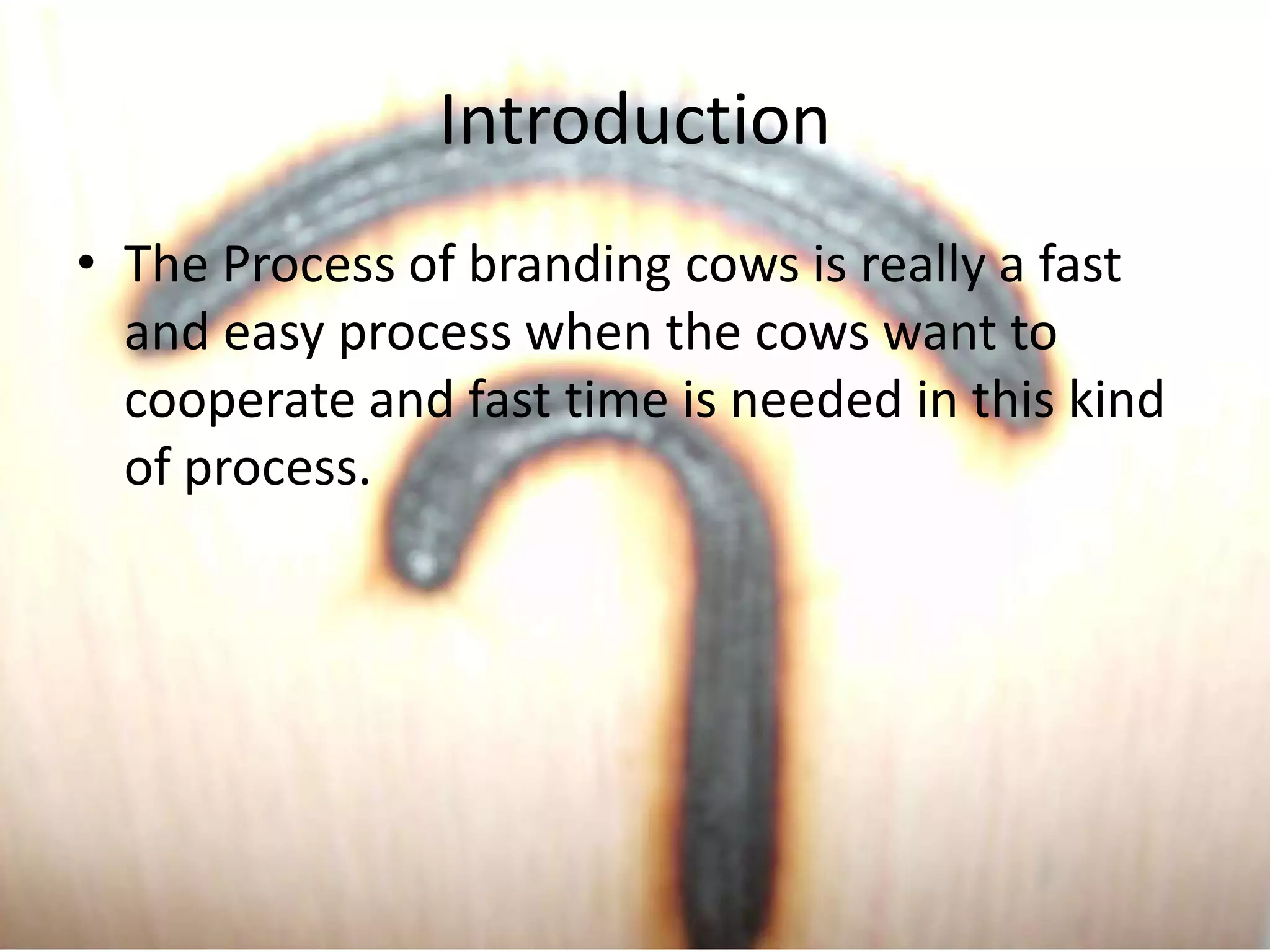 cow | PPT