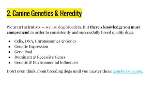 How To Breed Dogs Responsibly? | PDF | Dogs | Pets