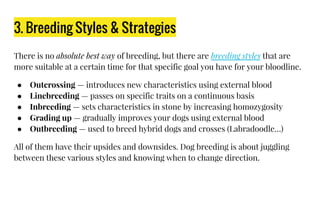 How To Breed Dogs Responsibly? | PDF | Dogs | Pets