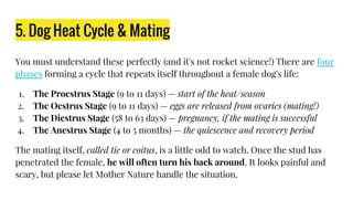 How To Breed Dogs Responsibly? | PDF | Dogs | Pets