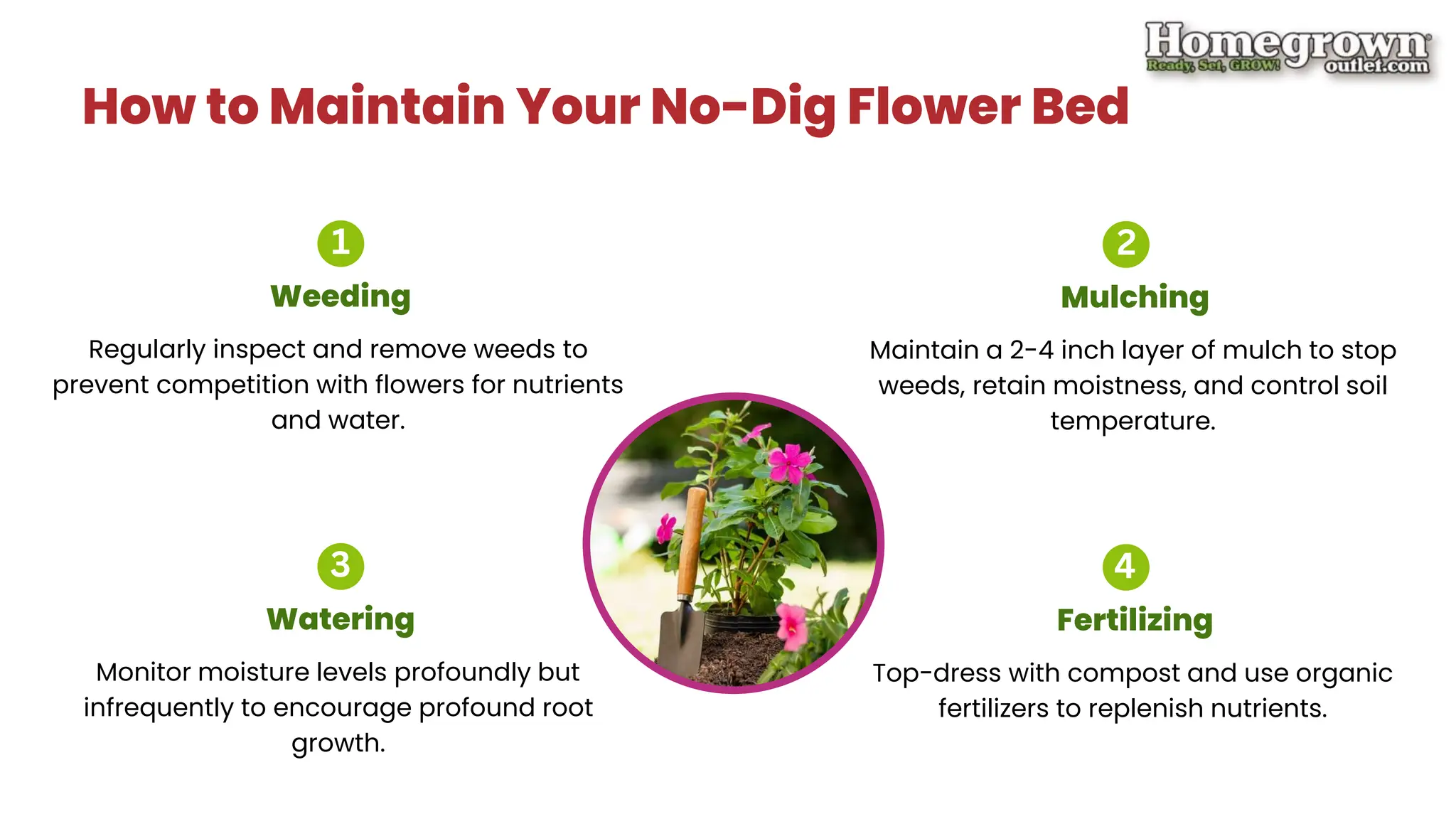 How to build a no-dig flower beds - Homegrown Outlet | PDF
