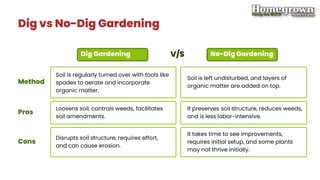 How to build a no-dig flower beds - Homegrown Outlet | PDF | Gardening ...