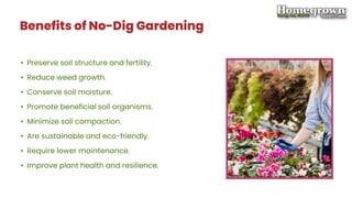 How to build a no-dig flower beds - Homegrown Outlet | PDF | Gardening ...