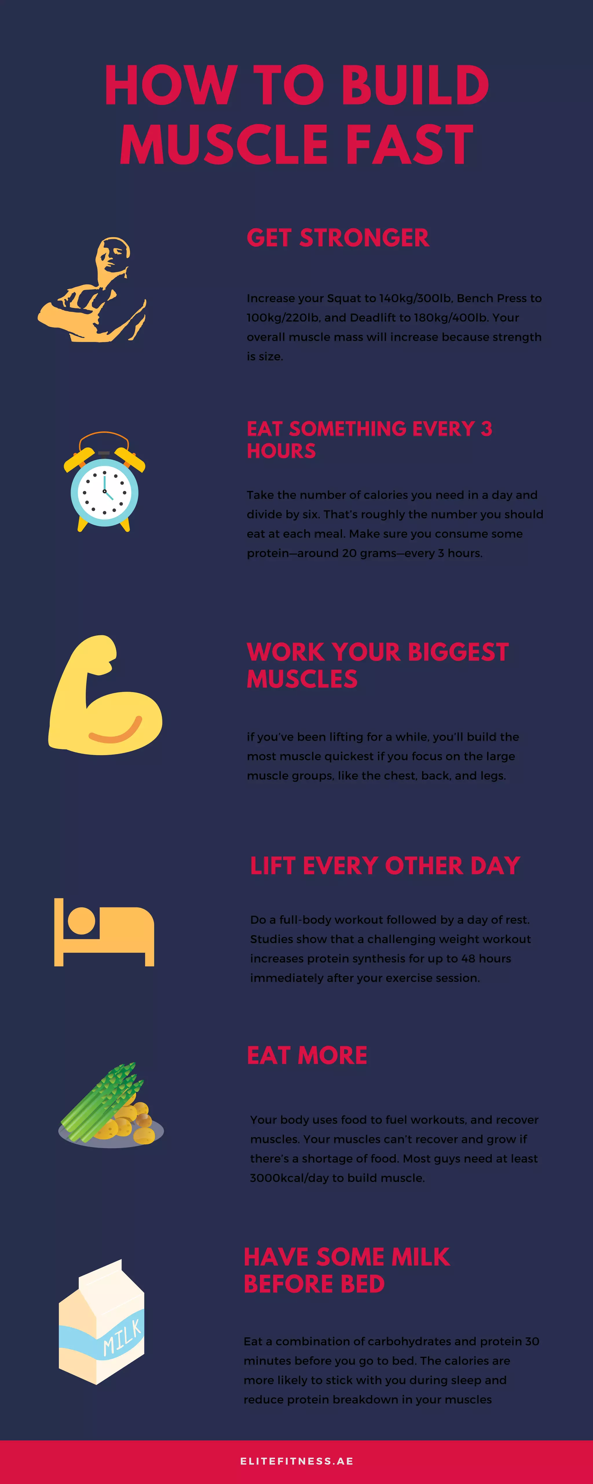 How to build muscle fast? | PDF