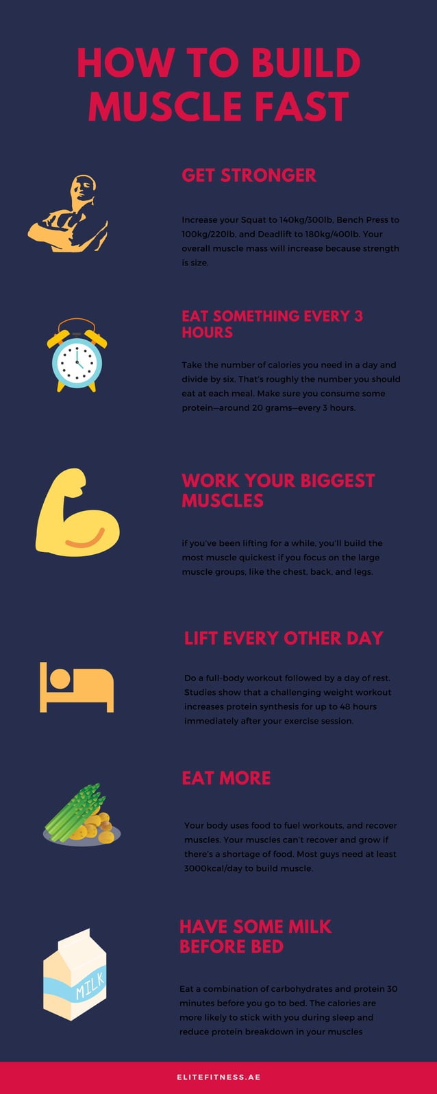 How to build muscle fast? | PDF
