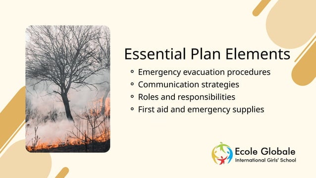 Disaster Preparedness in Schools: Ensuring Safety at All Times | PPT