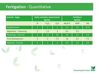 How to calculate fertilizers | PDF