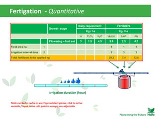How to calculate fertilizers | PDF
