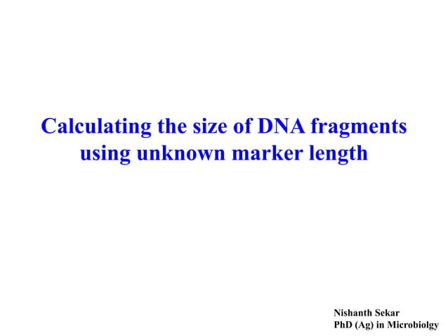 How to calculate the size of DNA fragments using unknown marker length ...