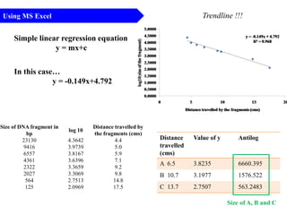 How to calculate the size of DNA fragments using unknown marker length ...