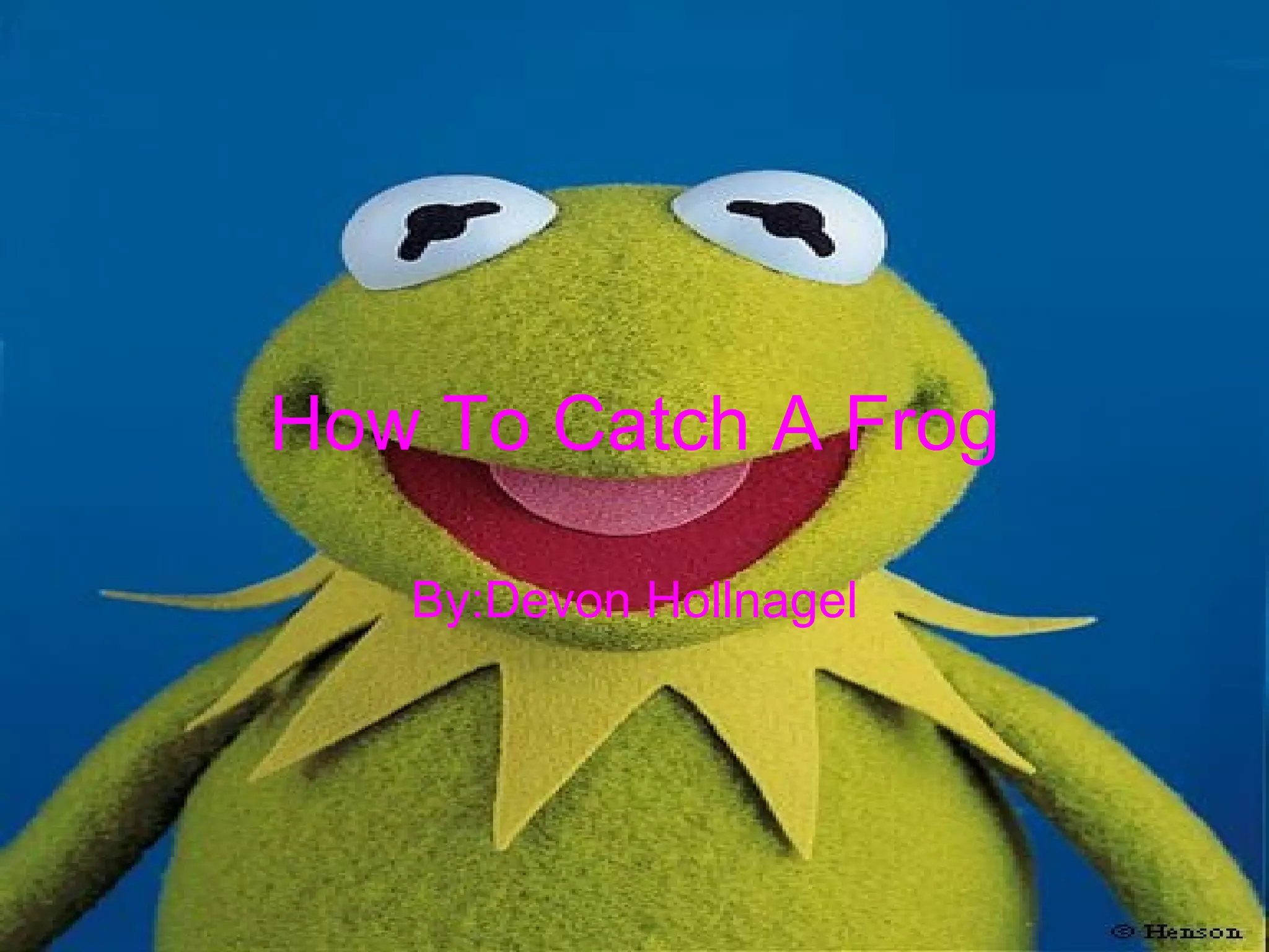 How to catch_a_frog | PPT