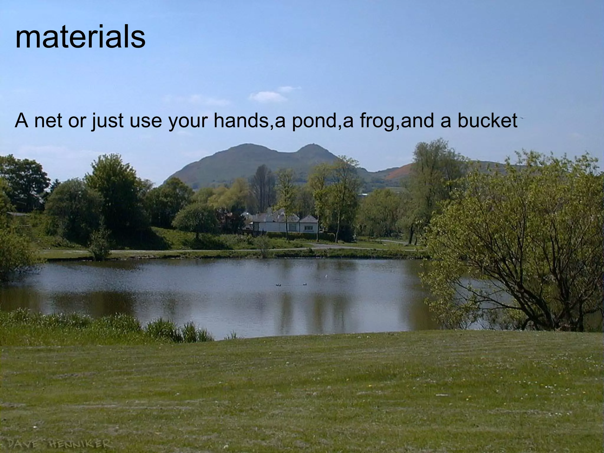 How to catch_a_frog | PPT | Zoos & Aquariums | Attractions