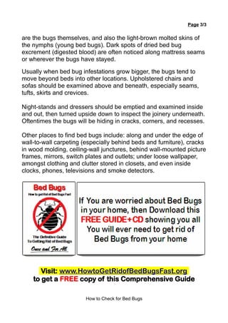 How to check for bed bugs | PDF | Interior Decorating | Home & Garden