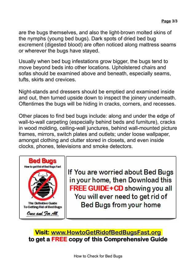How to check for bed bugs | PDF | Interior Decorating | Home & Garden