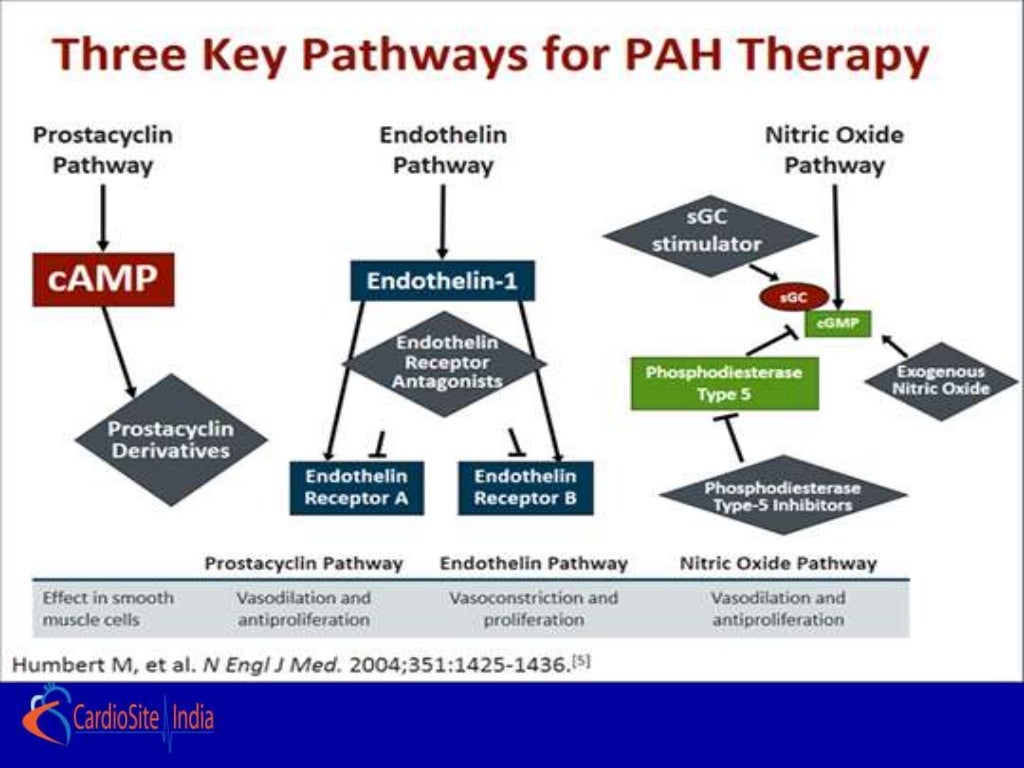 How to choose drugs in pulmonary arterial hypertension