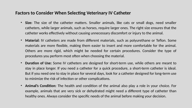 How to Choose the Right Veterinary IV Catheters for Your Veterinary ...