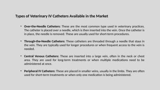 How to Choose the Right Veterinary IV Catheters for Your Veterinary ...