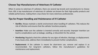 How to Choose the Right Veterinary IV Catheters for Your Veterinary ...