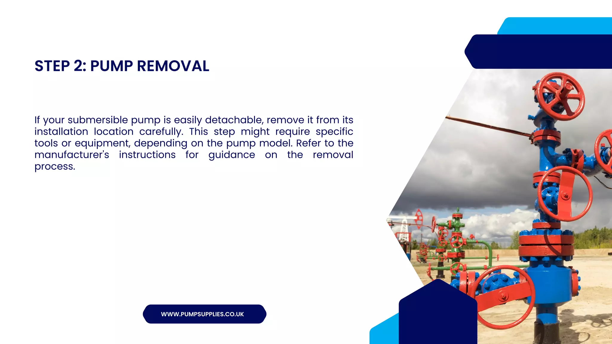 how to clean a submersible pump.pdf