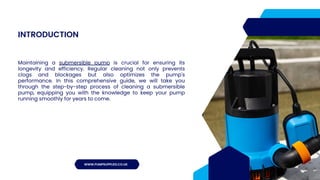 how to clean a submersible pump.pdf