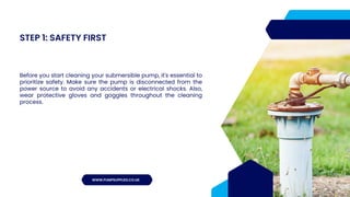 how to clean a submersible pump.pdf