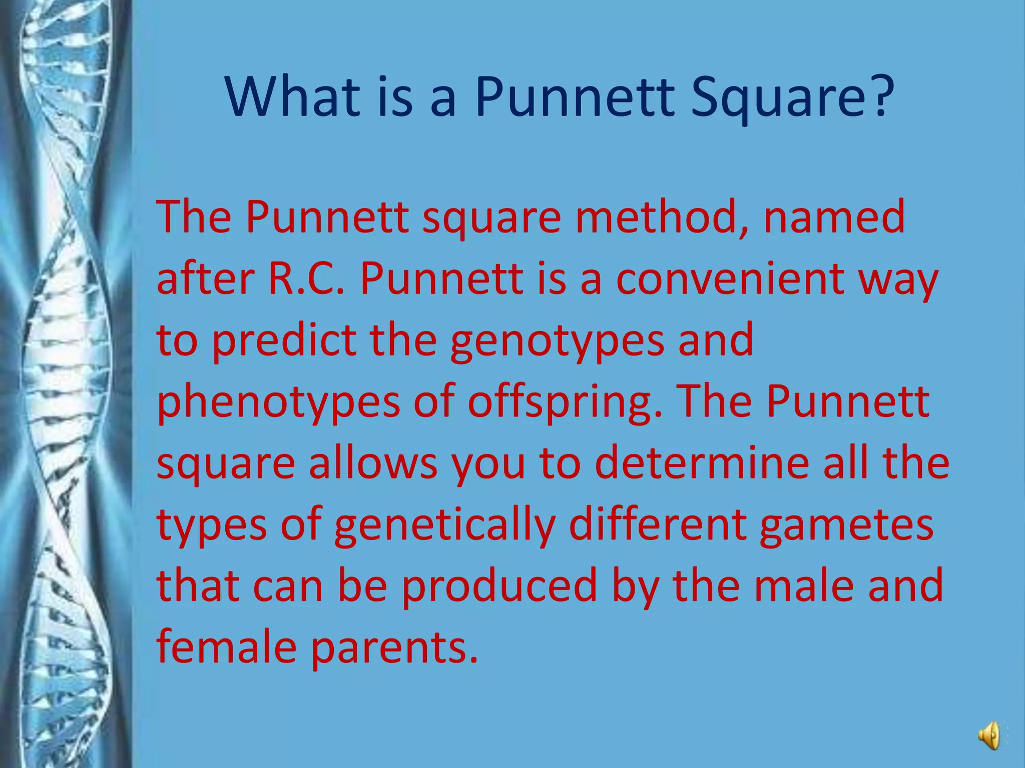 How to complete a punnett square | PPTX | Eye and Vision Conditions ...