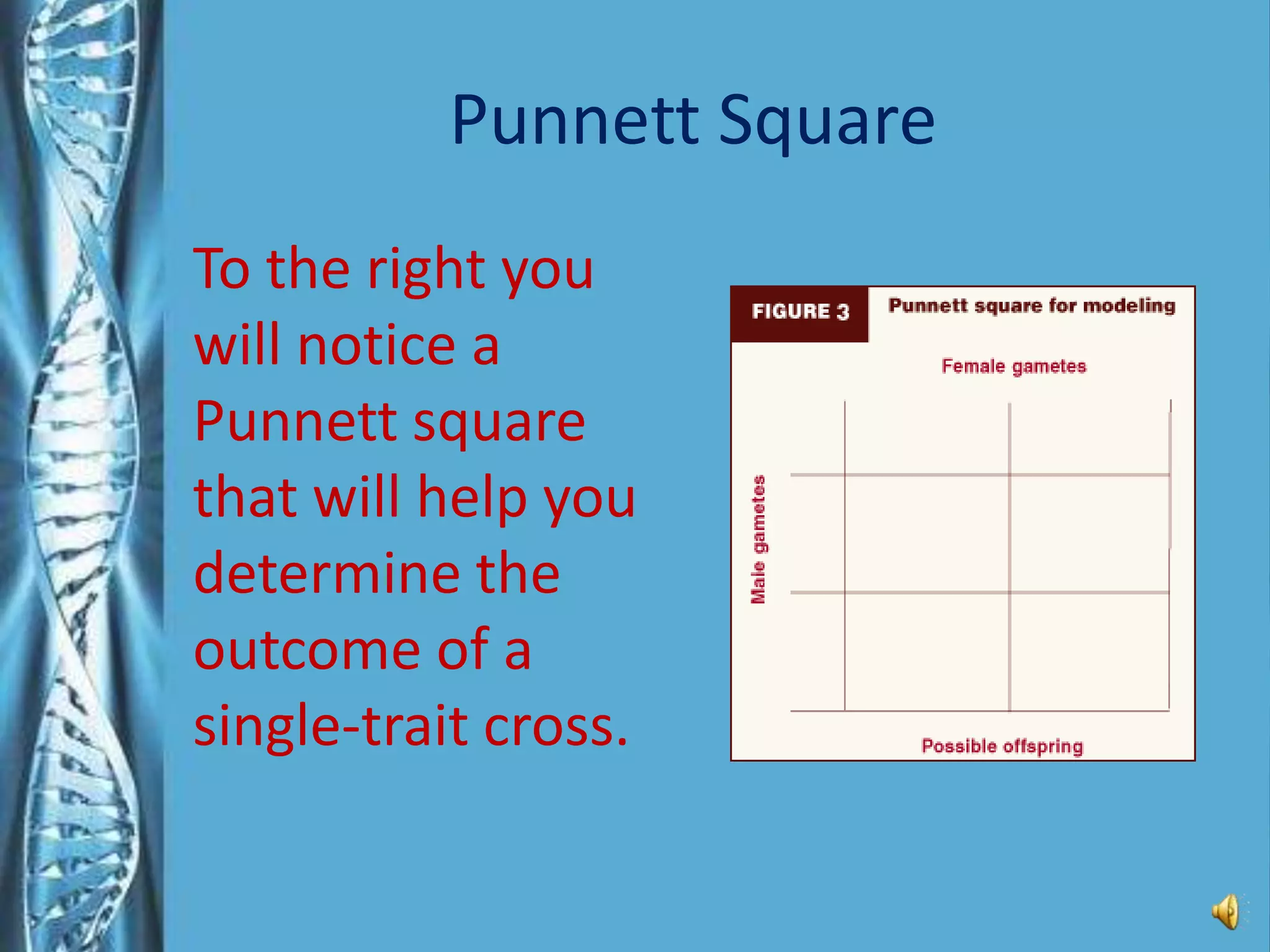 How to complete a punnett square | PPTX | Eye and Vision Conditions ...